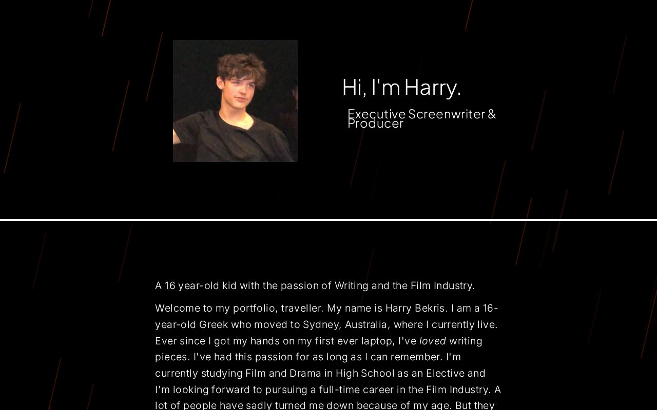 Harry B's Portfolio